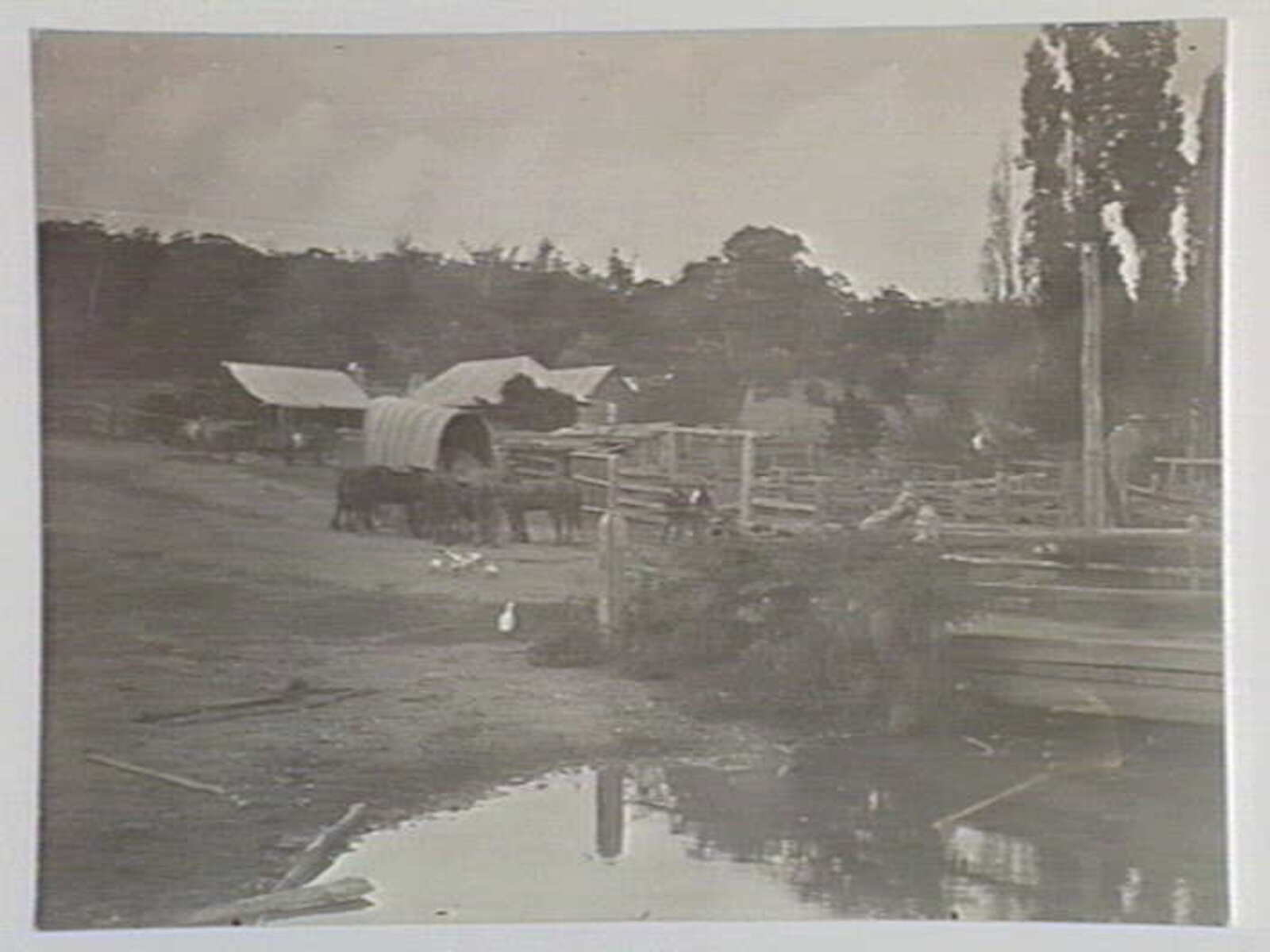 State Library Victoria